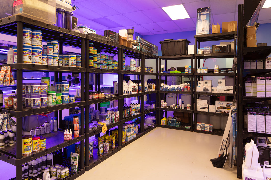 Retail Store (Taylor Mill) – Discover Aquatics Shop